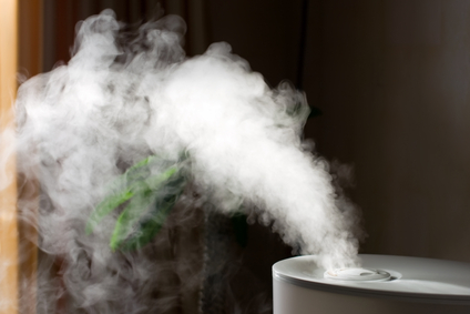 The Importance of a Whole Building Humidifier